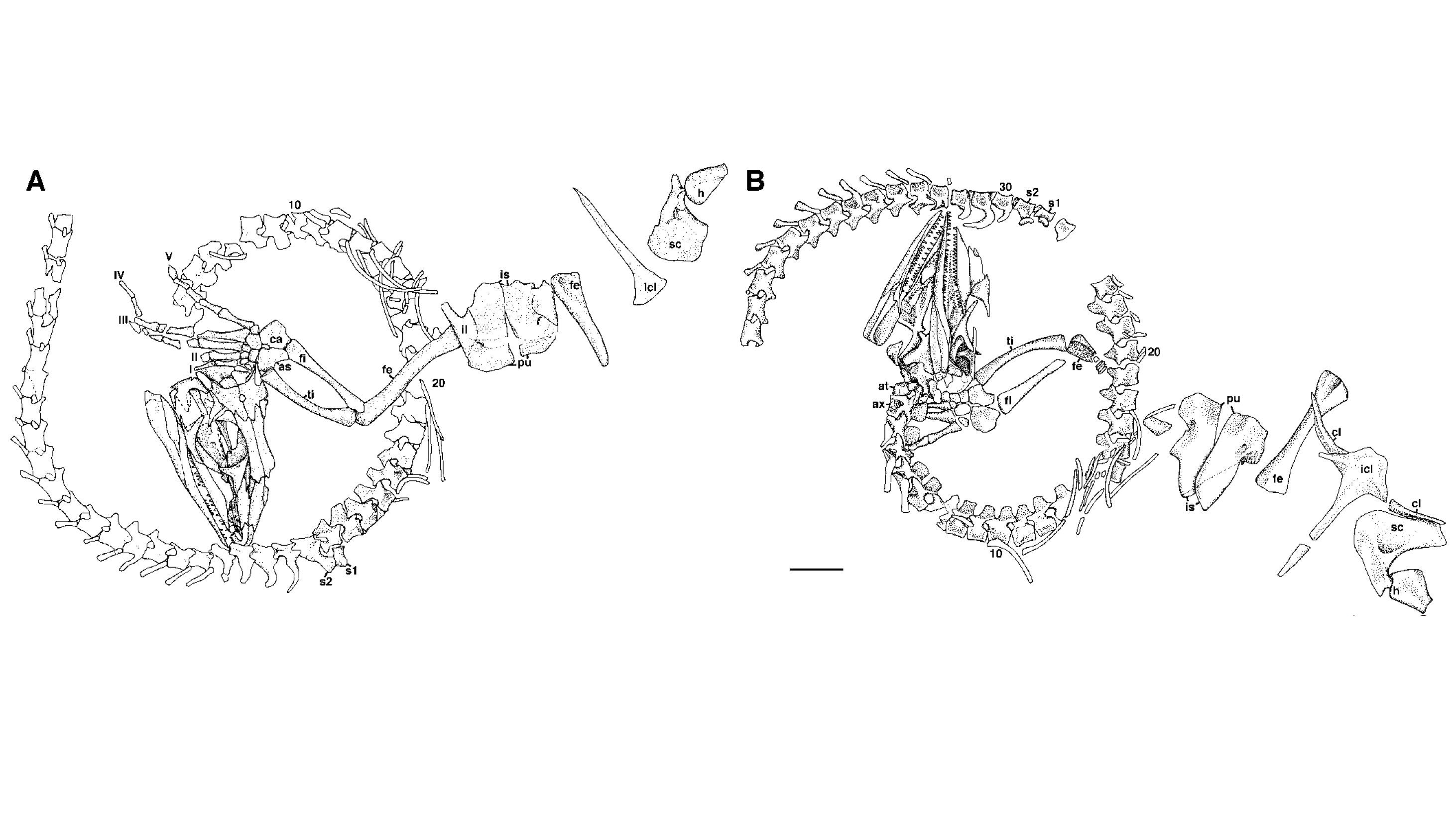 Kansas Herpetofaunal Atlas